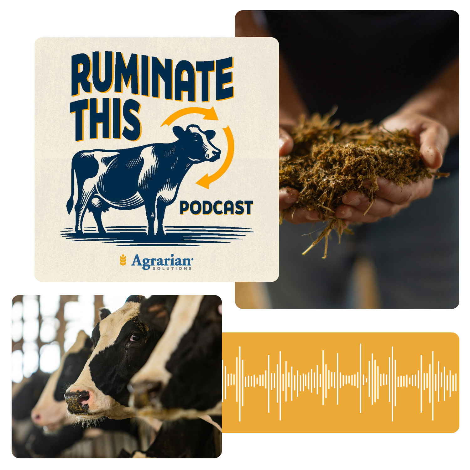 Ruminate This Podcast | Livestock Health & Leadership Insights